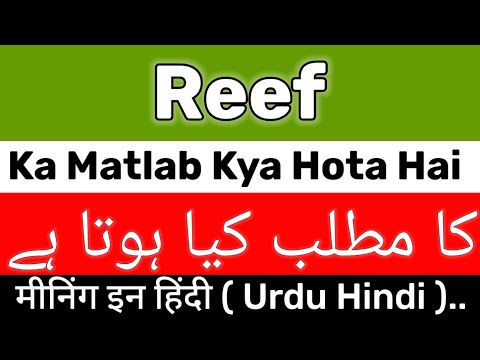 Reef Meaning | Reef Meaning In Urdu | Reef Ka Matlab Kya Hai | Reef Ka Meaning Kya Hai