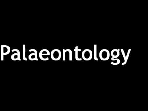 How to Pronounce Palaeontology