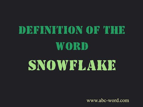 Definition of the word "Snowflake"