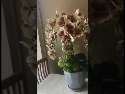 #Artificial Orchid : Choco Green Round Arrangement.