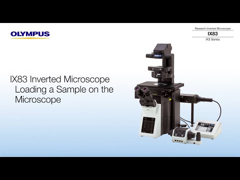Fluorescent Microscope - Confocal Fluorescence Microscopy Latest Price ...