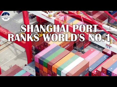 47.3 million TEUs! Shanghai's container throughput ranked world’s No. 1 for 13th consecutive year