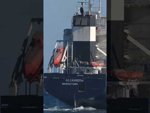 #Shorts Container ship vessel Ship Spotting