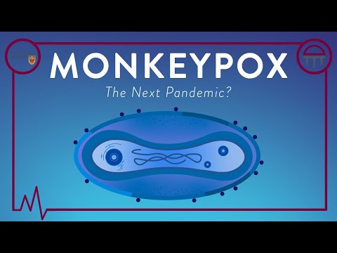#Shorts - Monkeypox