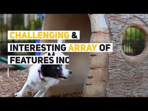 Dog Park Planning Tips | Essential Dog Park Equipment