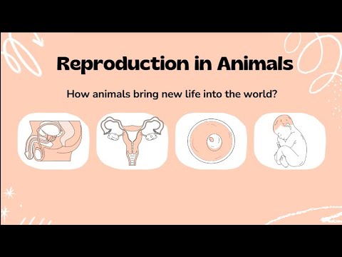 Reproduction in Animals Video Lecture - Science Class 8