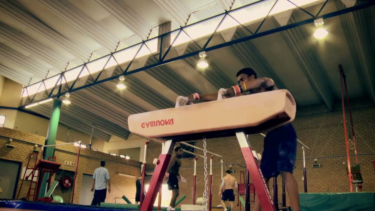 AGC Apparatus  Pommel Horse