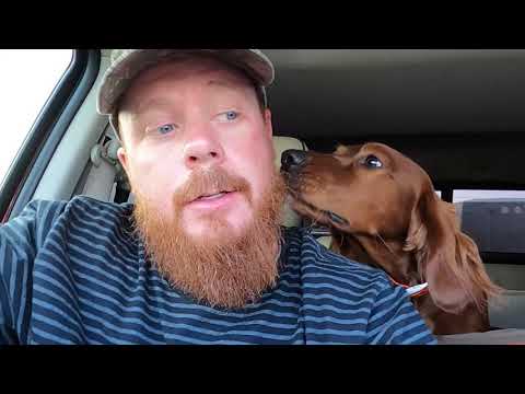 North Dakota Pointing Dog Field Trial