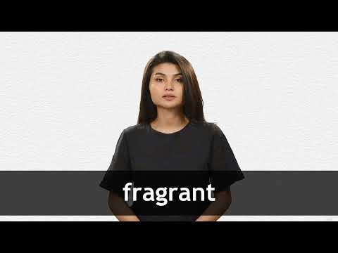 FRAGRANT definition and meaning | Collins English Dictionary