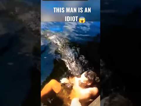 CROCODILE ATTACK, SWIMMING ON CROCODILE POND IS A BIG MISTAKE#shorts,#crocodile,#attack,@bbcearth