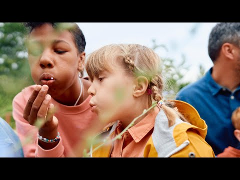 Our Story - Life Forward