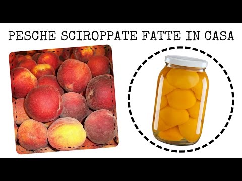 Homemade Canned Yellow Peaches