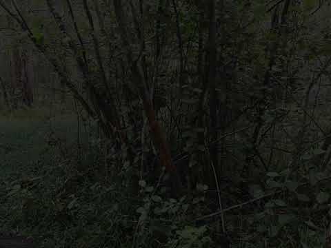 191 Plantation Drive, Newnan, GA 30263 - Single Family - Real Estate - For Sale