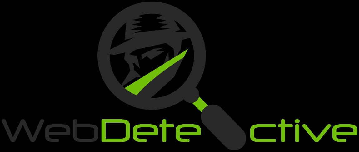 Web Detective - Web Analytics on Steroids