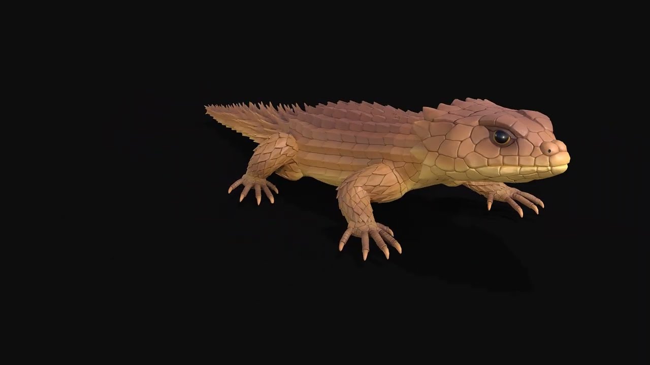 Preview | Armadillo lizard | 3d animation - Round view