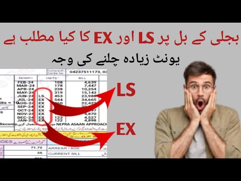 بجلی کے بل پر LS اور EX کا کیا مطلب ہے ؟what is pro rata consumption?