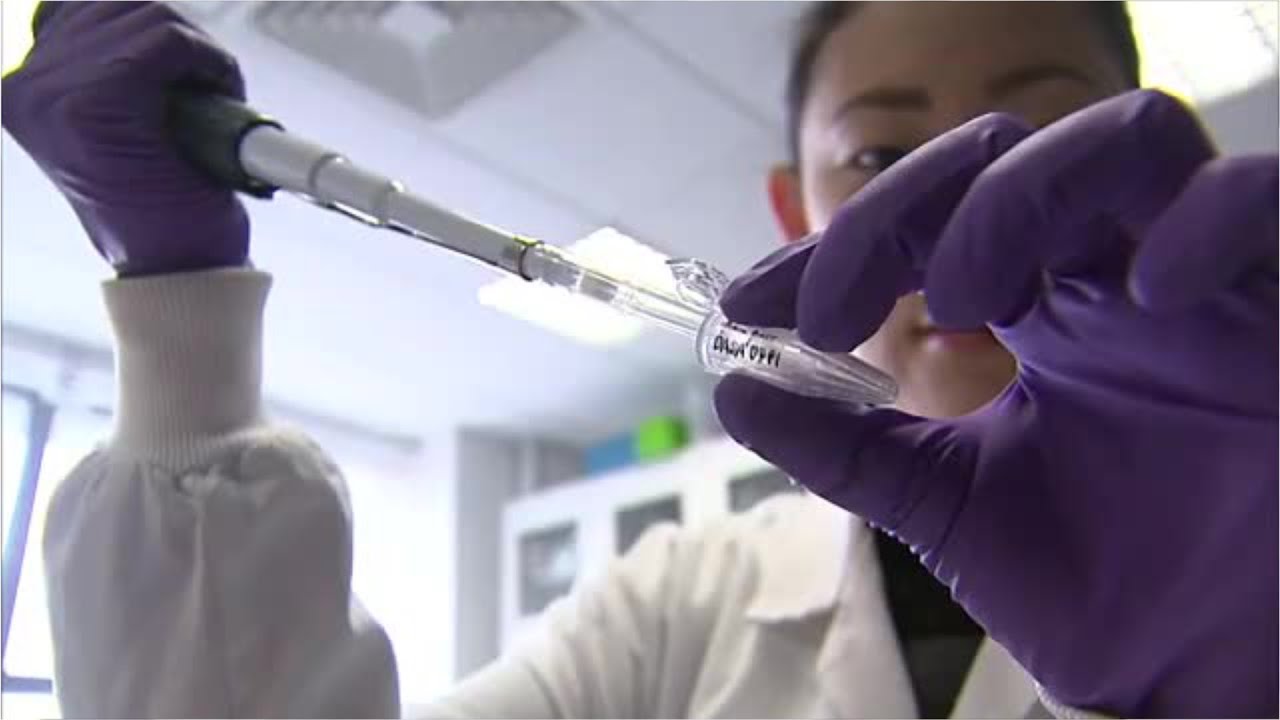 Chemists Career Video