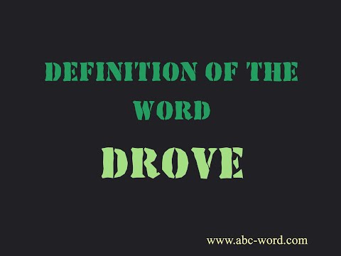 Definition of the word "Drove"