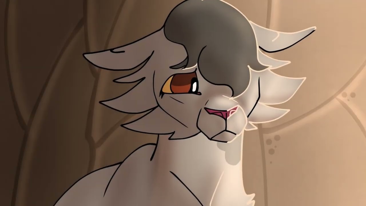Jackrabbit - Windclan Appreciation MAP Part 3