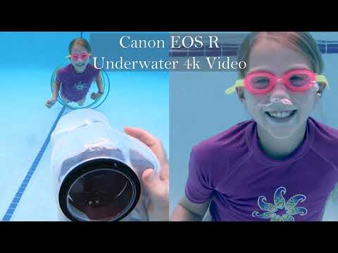Underwater Housing for Canon EOS R Camera | Customer Review & Testimonial