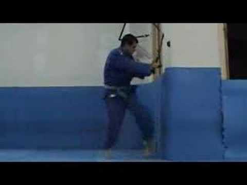 Judo in Jiu-Jitsu