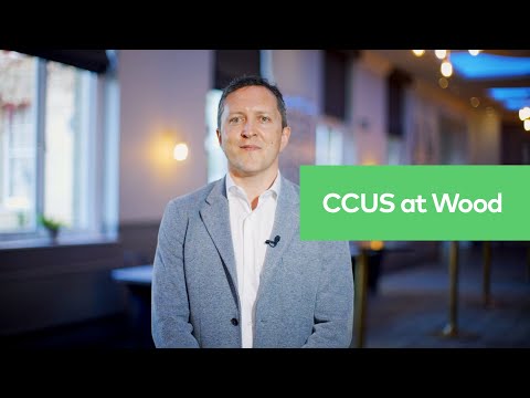 Wood Carbon Capture Transport Usage and Storage