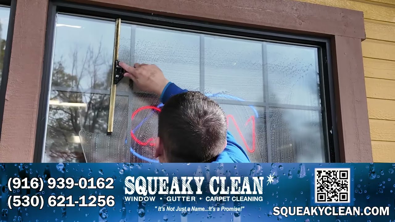Squeaky Clean Windows 2025