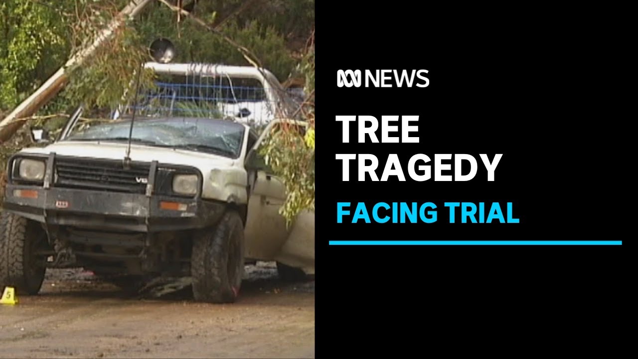 Mother describes tree falling on son as ex-partner faces manslaughter trial | ABC NEWS