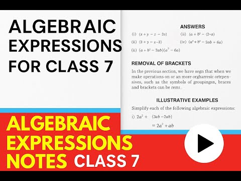 Class 7 | Examples & Exercise : 7.3– Algebraic Expressions ✨RD Sharma Book| Solved Step by Step!