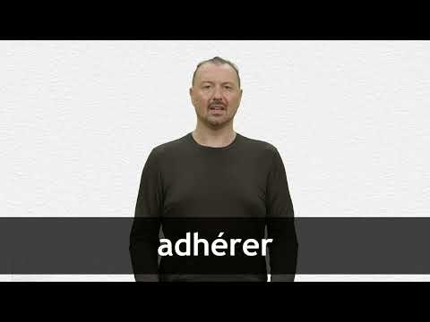 English Translation of “ADHÉRER” | Collins French-English Dictionary