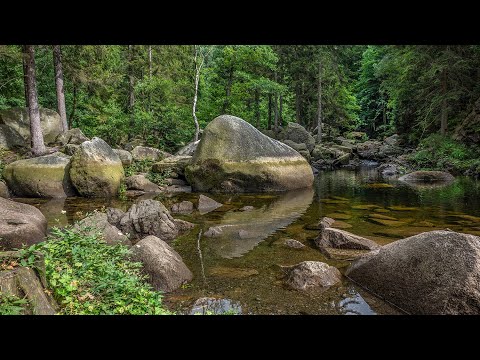 Verlobungsinsel im Okertal-Harz/ Остров помолвок на реке Окер (Германия)/