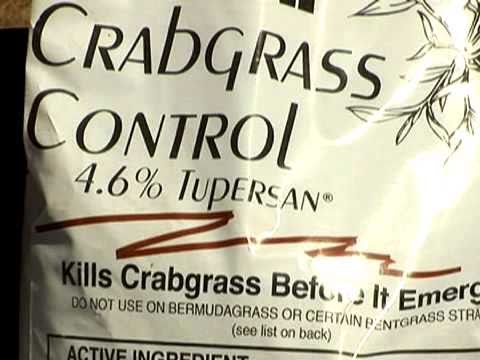 Videos - Weed Control When Planting Grass Seed