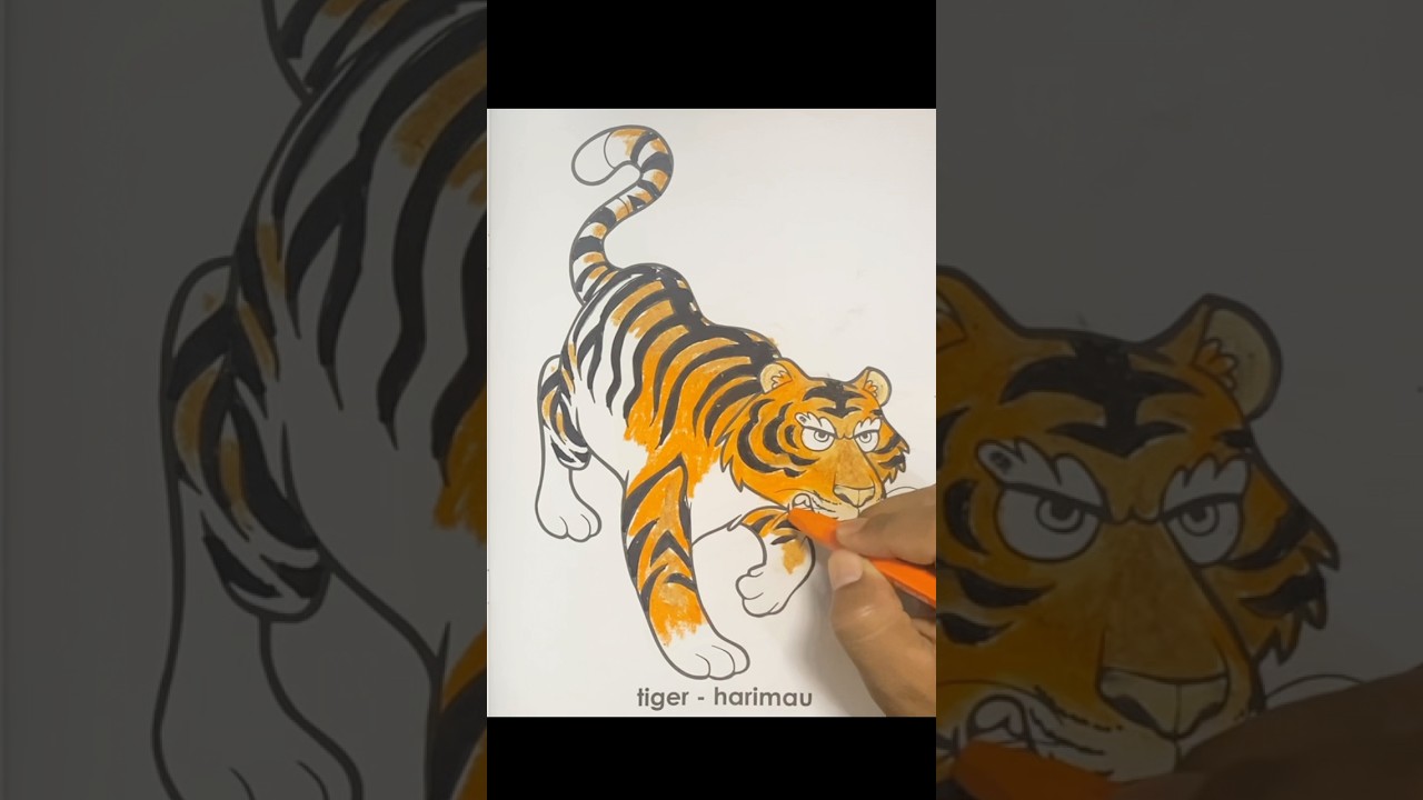 Gradasi warana harimau #mewarnai #hewan #tutorial #harimau