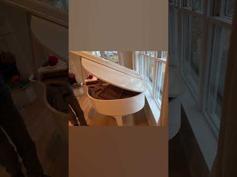 Petrof Baby Grand Piano – White High Gloss – 5’3” Model V – | Reverb