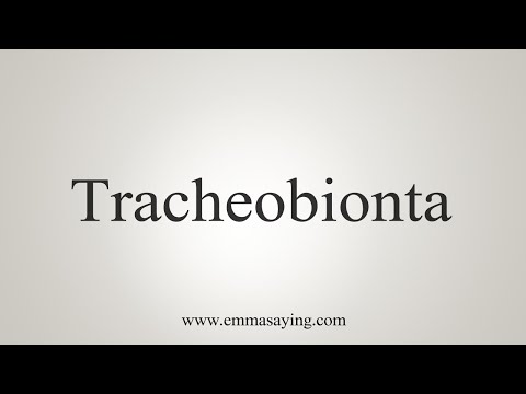 How To Say Tracheobionta