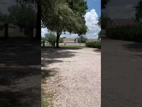Courteous Canine virtual tour