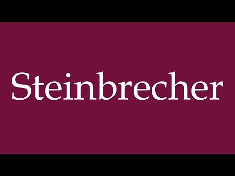 How to Pronounce ''Steinbrecher'' (Stone crusher) Correctly in German