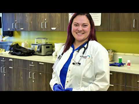 Train to Become a Veterinary Technician at MedQuest College