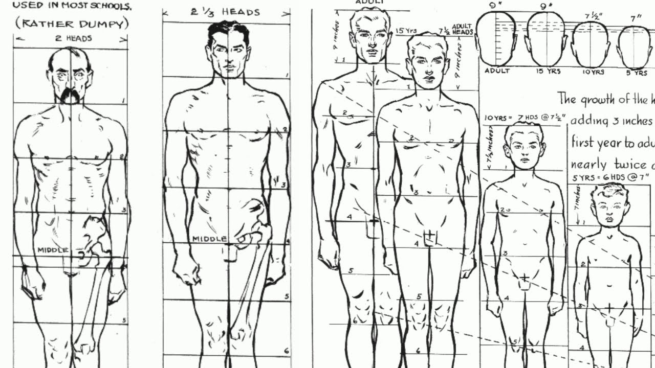 How to Draw BASICS: Proportion