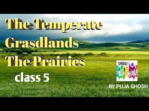 The Temperate Grasdland -The PRAIRIES|class5-CBSE