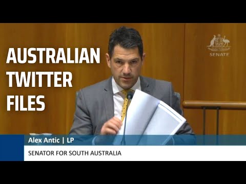 Senator Alex Antic – Nelle's journey