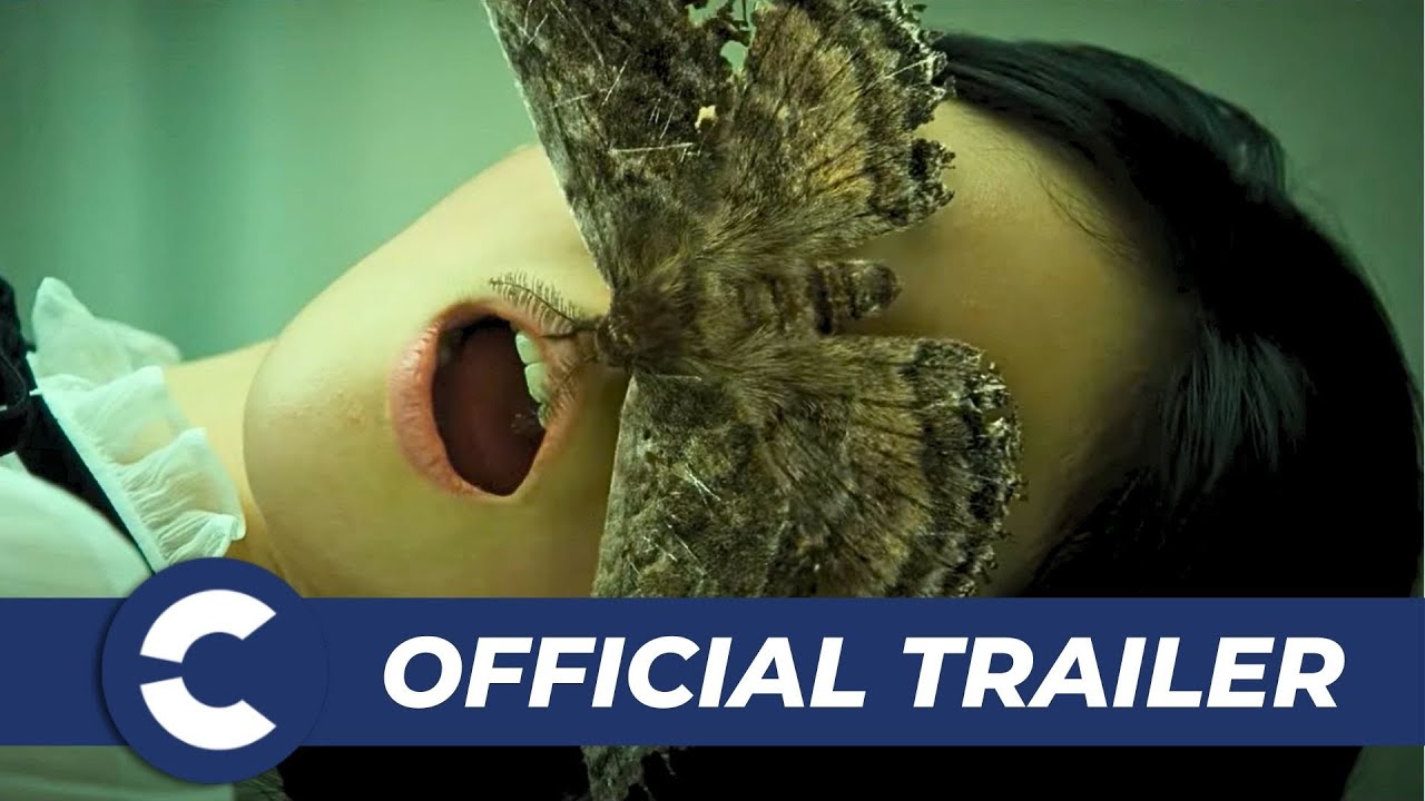 Sinopsis Devils Stay, Film Korea Terbaru Pengusiran Setan, Dibintangi ...