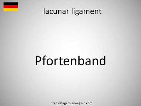 How to say lacunar ligament in German? Pfortenband
