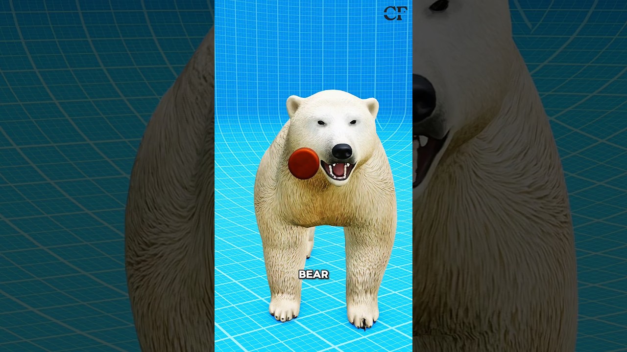 what if you shoot a Polar Bear?🤔#shorts