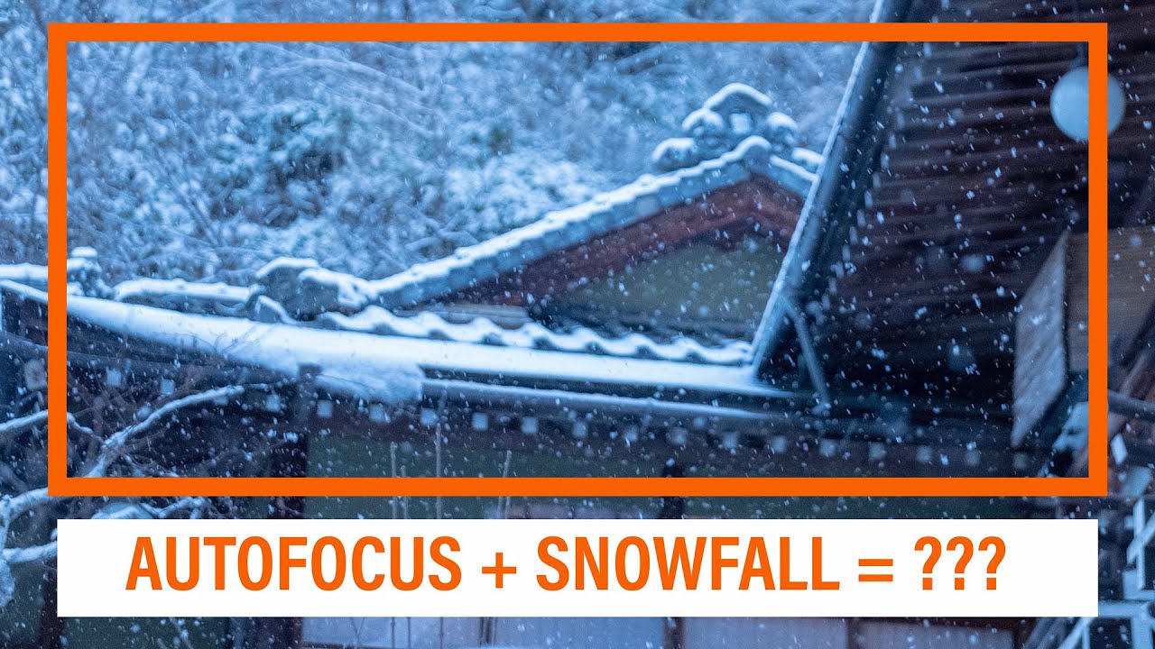 Autofocus + Snowstorms: How to turn camera failures into success