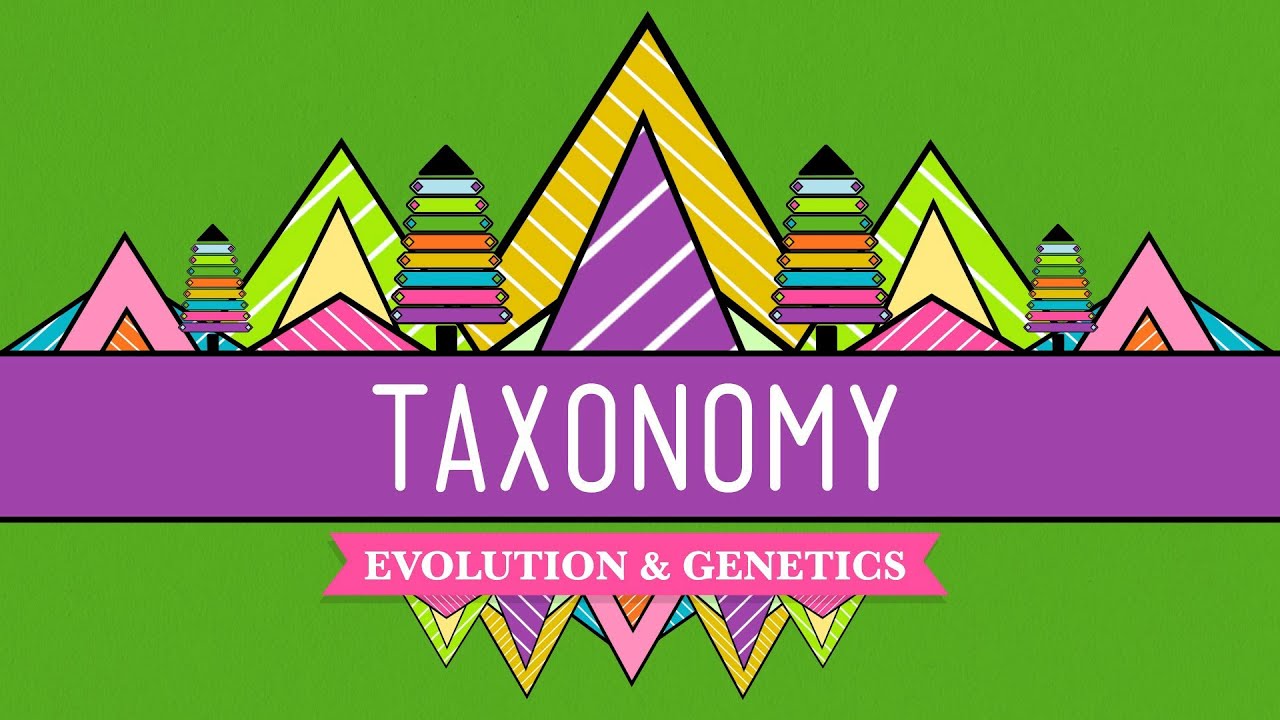 Understanding Taxonomy: The Science of Classifying Life | Galaxy.ai