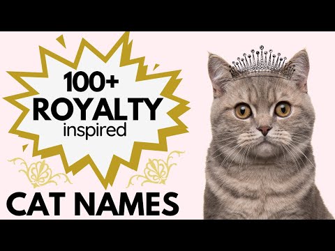 100+ Cat Names Inspired By The Royal Family👑 | Popular Royal Cat Names (For Boy and Girl Cats)