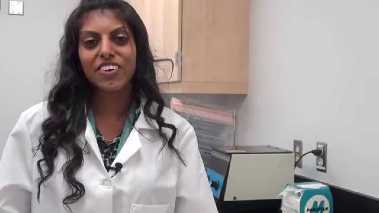 Regenerative Medicine Research: Made at Sac State