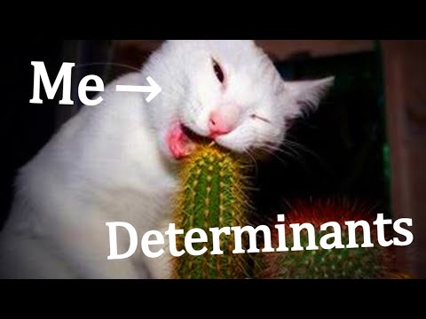 LA 3.1 Finding Determinants with Cofactor Expansion