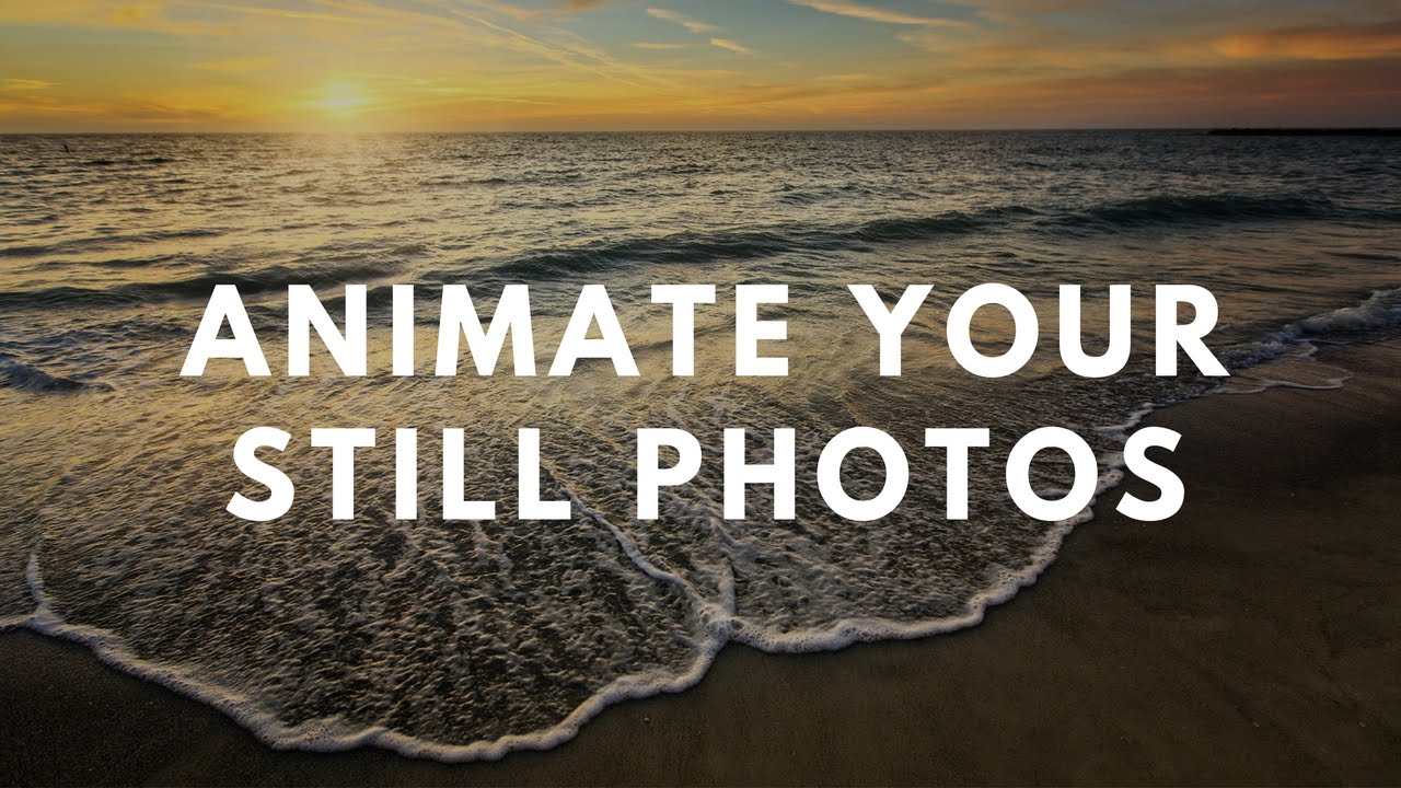 Animate Your Still Photos: A First Look at Plotagraph Pro